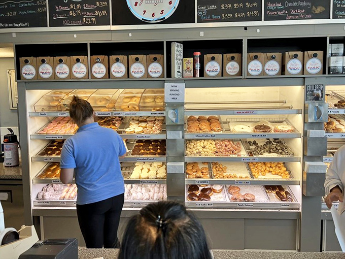 The display case—a museum where the exhibits disappear hourly. Each shelf showcases edible art that rarely survives long enough for critical review.