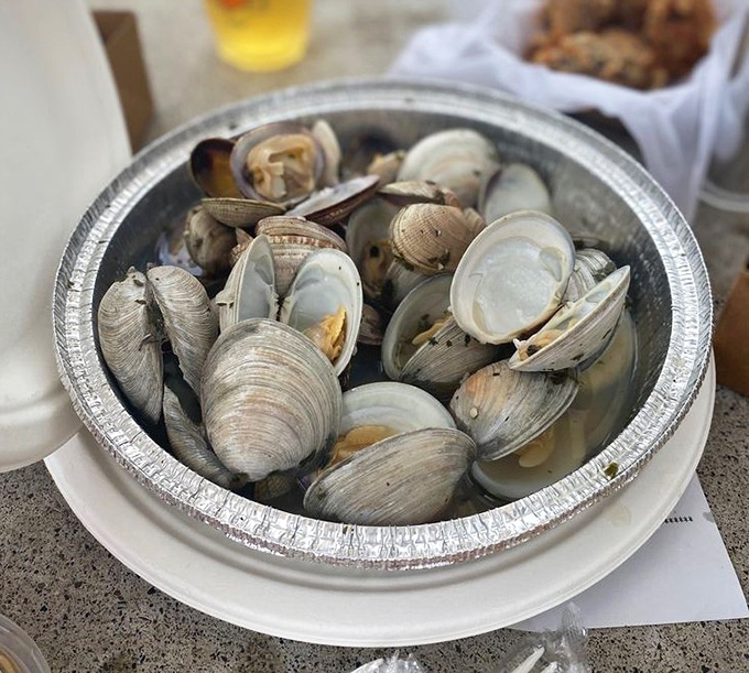 These steamed clams have opened up about their feelings—and they feel delicious. A simple preparation that lets quality speak for itself.