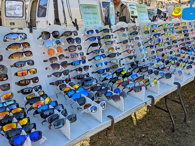 Sunglasses galore, because Florida demands eye protection that matches your personality. Somewhere in this display is the pair you'll eventually leave at a restaurant.
