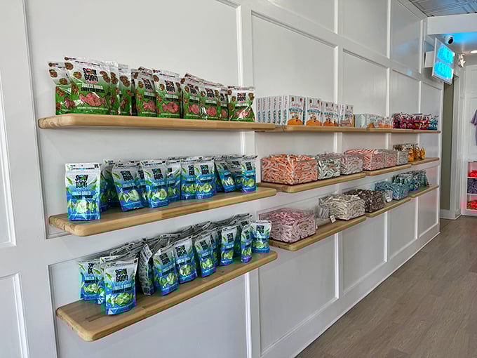 Packaged treats lined up like soldiers, ready to be drafted into your beach bag for later deployment.