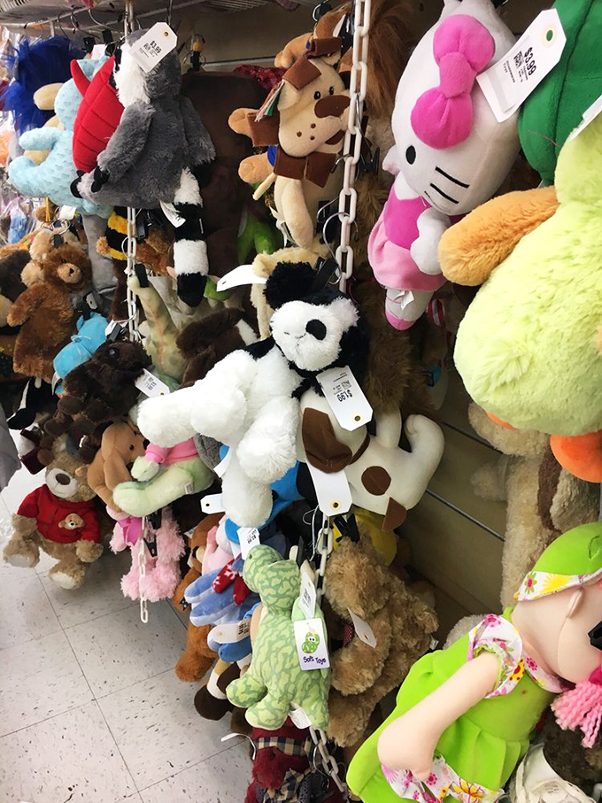 A plush menagerie awaits new homes—from Hello Kitty to anonymous teddy bears with slightly judgmental button eyes.