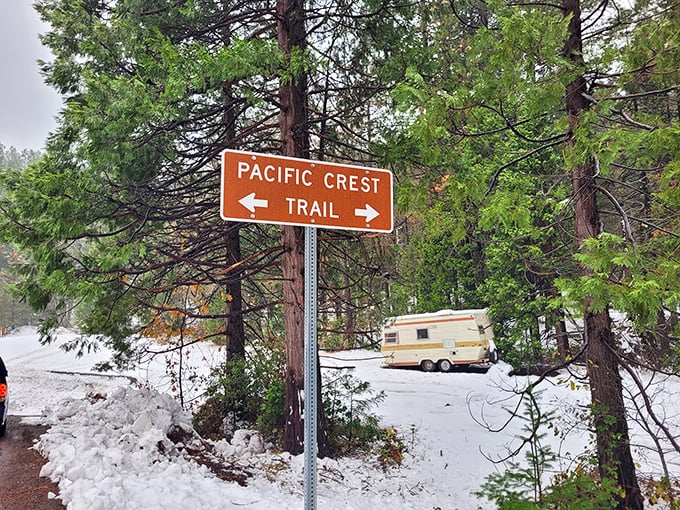 Winter brings a magical transformation. The Pacific Crest Trail under snow looks like a scene from Narnia.