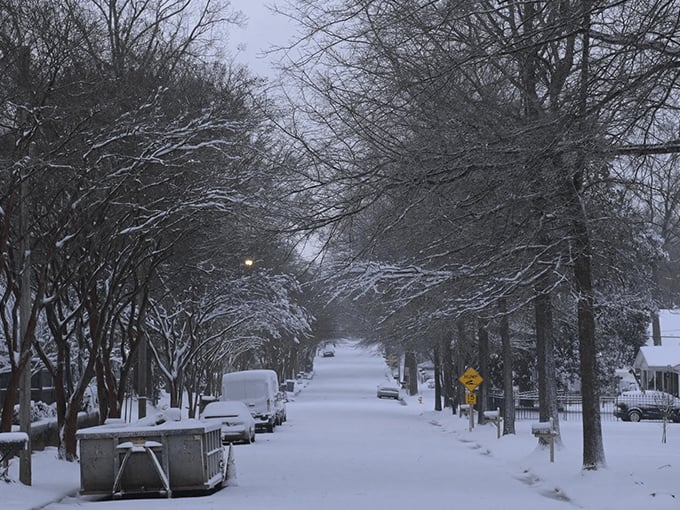 Winter in Gaffney blankets tree-lined neighborhoods in peaceful white, transforming the ordinary into a silent symphony of snowy southern charm.