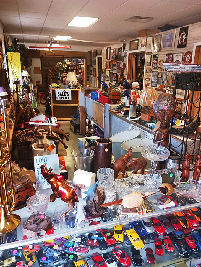 Every collector's dream—organized chaos where vintage glassware mingles with toy cars, proving one person's clutter is another's decorating inspiration.