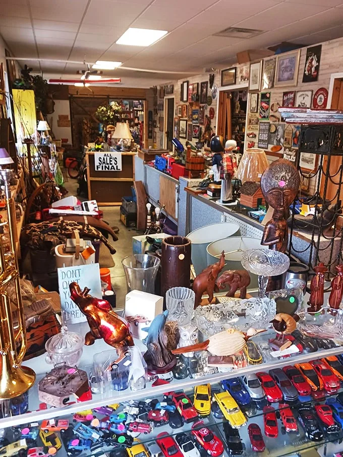 Every collector's dream—organized chaos where vintage glassware mingles with toy cars, proving one person's clutter is another's decorating inspiration.