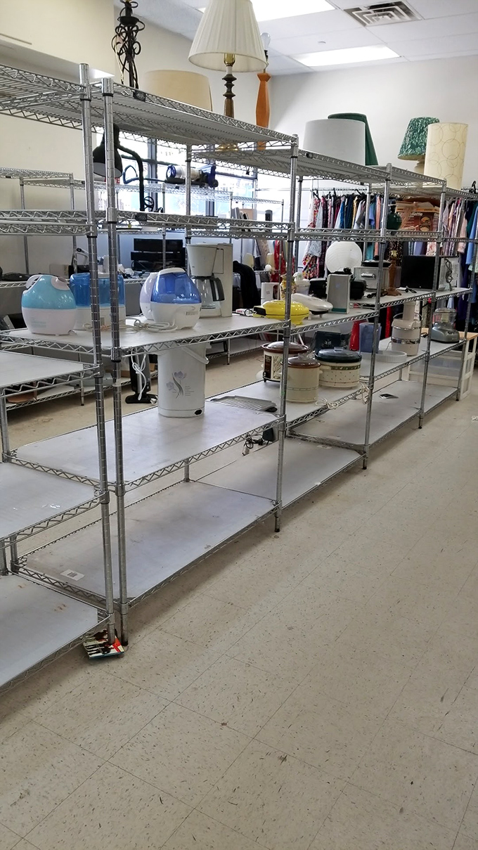 Small appliances stand at attention, each one silently promising, "I still work perfectly, and I cost less than your lunch."
