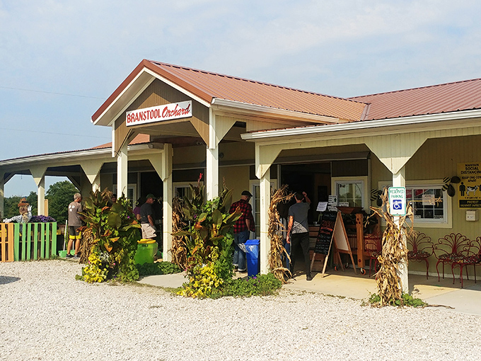 Branstool Orchards offers that increasingly rare experience—connecting directly with the source of your food while supporting the families who grow it.