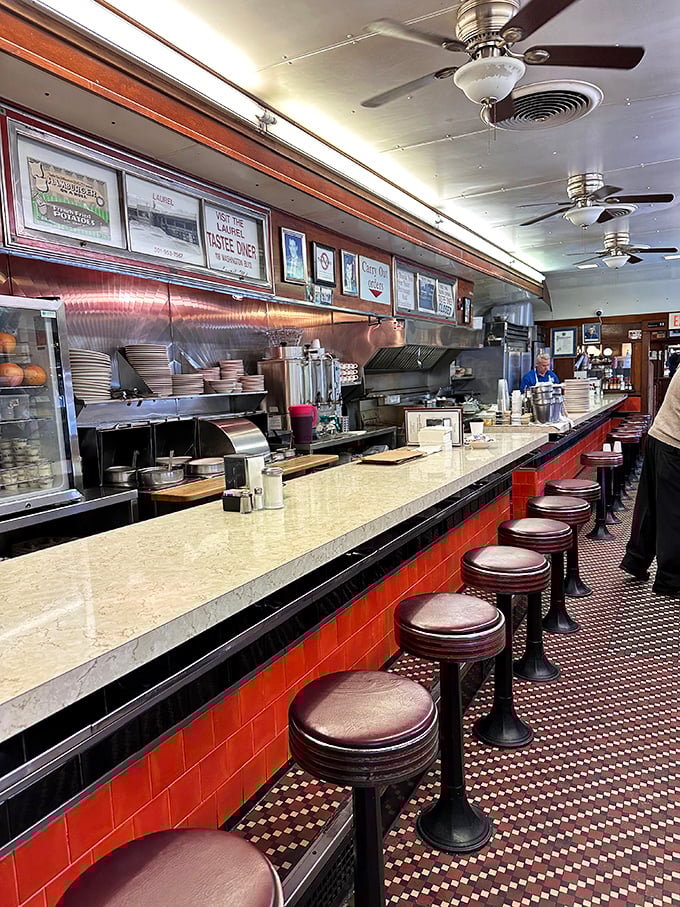 The counter—where solo diners find community, coffee achieves bottomless status, and watching your food being made is better than any cooking show.
