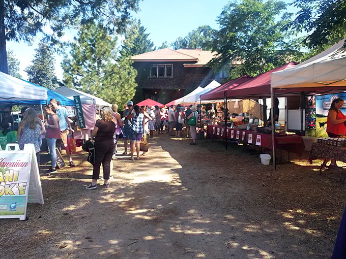 This farmers market isn't just shopping – it's a Thursday social club where the password is "locally grown" and everyone's invited.
