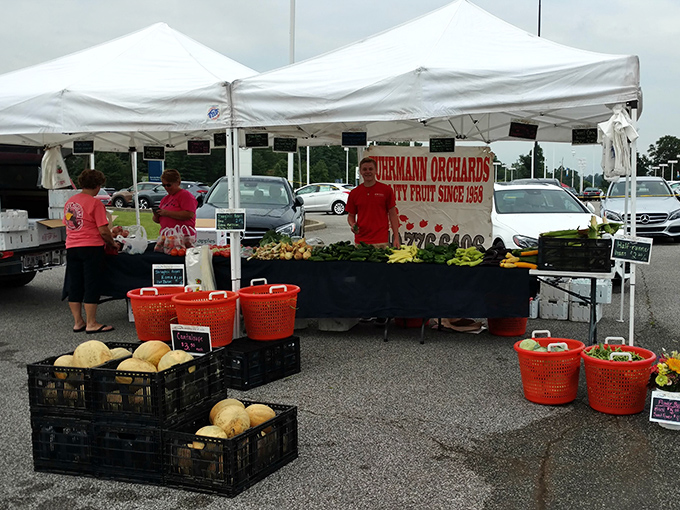 The farmers market connects residents directly with local growers. Farm-to-table isn't a trend here—it's just Tuesday morning in Ashland.
