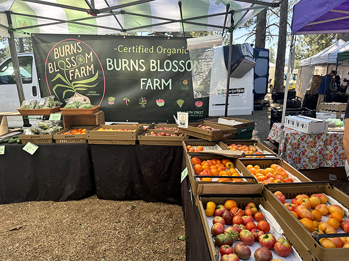 The farmers market—proof that despite the altitude, Truckee's local harvests rival anything you'll find at sea level.