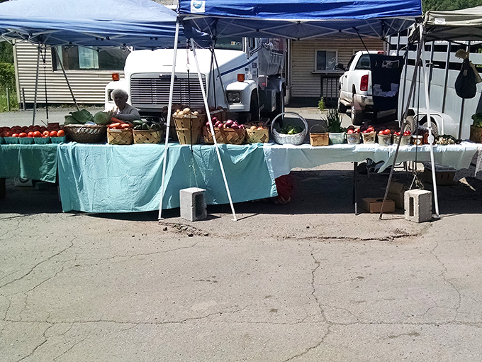 Honesdale's farmers market isn't just shopping—it's Saturday morning theater where the stars are heirloom tomatoes and the supporting cast is equally delicious.