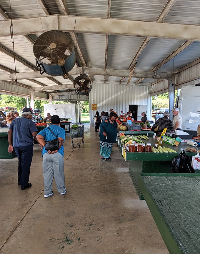 The farmers market buzzes with activity as locals browse fresh produce, proving the farm-to-table movement wasn't invented by hipsters – it's just how Monroe always lived.