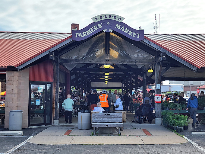 The Toledo Farmers Market buzzes with activity as locals hunt for fresh produce and homemade goods. This community hub connects urban dwellers with the region's agricultural bounty.