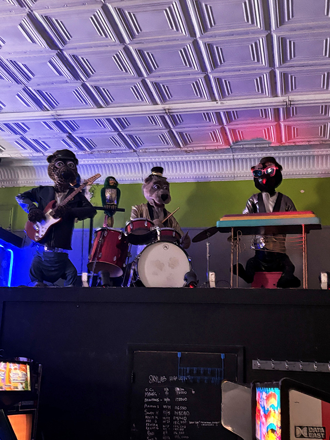 Not your average house band—these animatronic performers deliver tunes with a side of uncanny valley, creating memories both delightful and slightly disturbing.