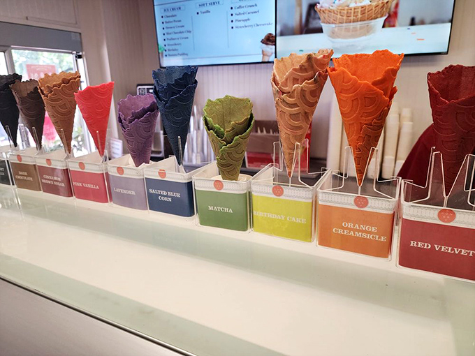 Colorful waffle cones that taste as good as they look. These aren't just ice cream vessels—they're the final, crunchy exclamation point.