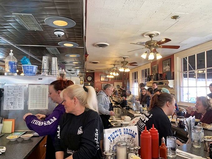 Counter service at its finest—where regulars become family and newcomers quickly understand why people line up for these legendary breakfasts.