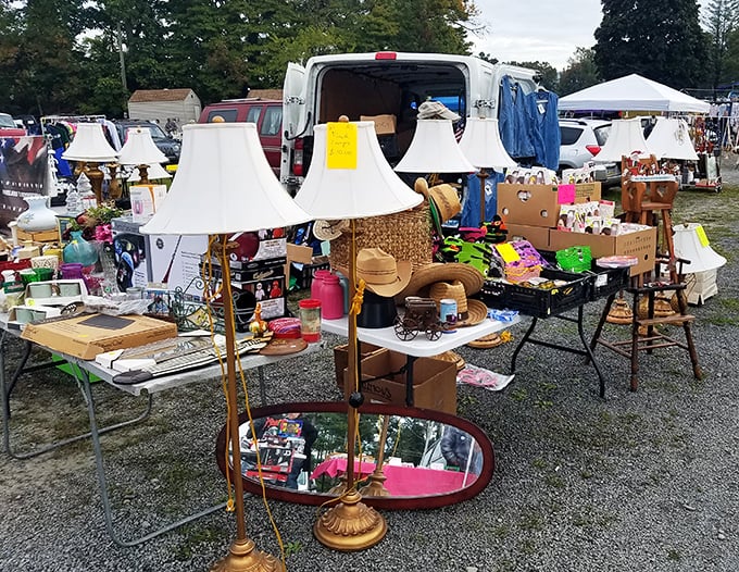 Vintage lamps stand tall among household miscellany, their shades like beacons guiding treasure hunters toward domestic illumination.