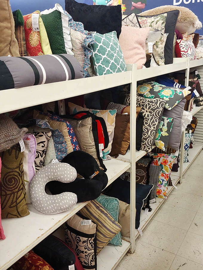 The pillow section: a textile rainbow of comfort and style. Transform your couch from "meh" to magazine-worthy without breaking the bank.
