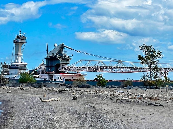 Maritime industry meets maritime history as a freighter passes the lighthouse—two different centuries of navigation sharing the same waters.