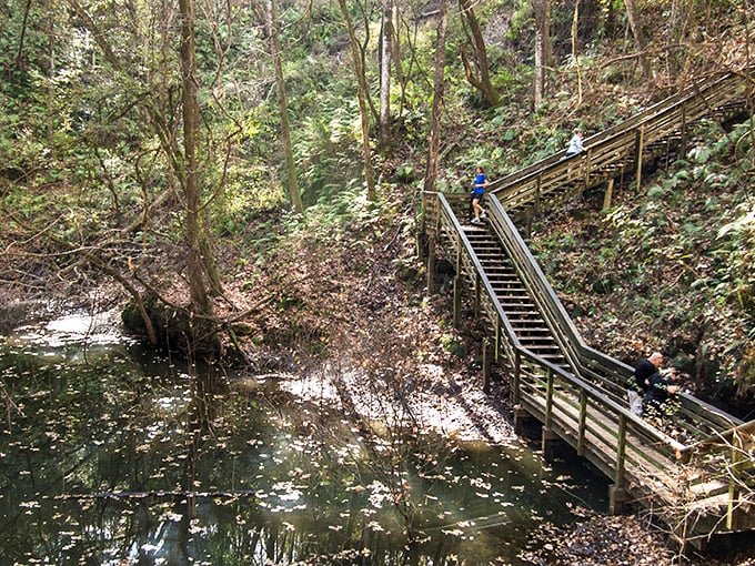 These stairs aren't just a way down – they're a stairway to an underground ecosystem that feels like it was borrowed from another continent entirely.