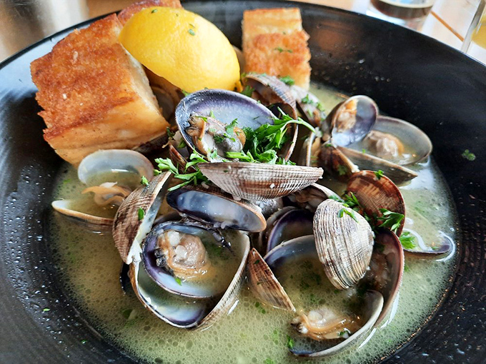 Steamed clams swimming in broth so good you'll contemplate drinking it like soup. The bread isn't a side—it's an essential dipping tool.