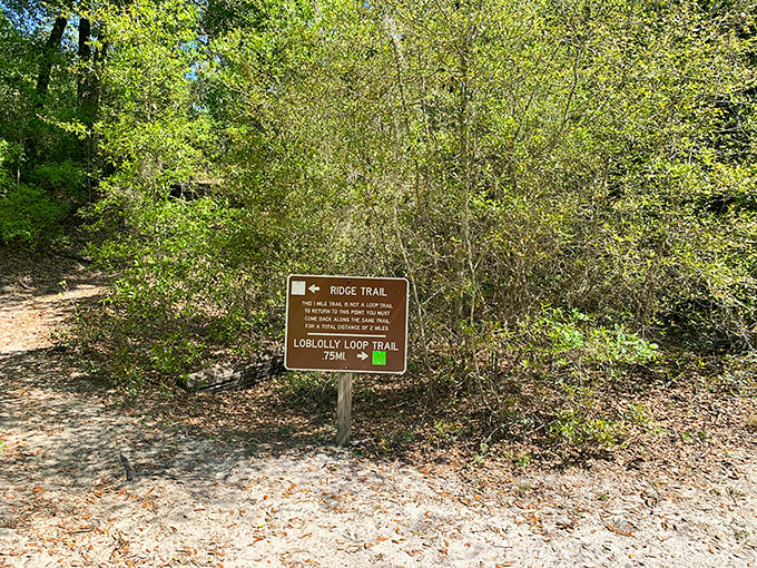 Trail signs: nature's version of "You Are Here" – except every direction leads to something worth seeing.