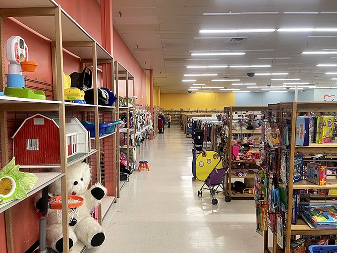 Colorful aisles filled with childhood nostalgia and practical necessities. That teddy bear has been waiting patiently for the right kid to come along.