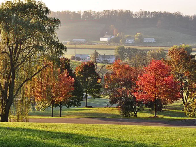 Autumn transforms Millersburg's countryside into a painter's palette of reds and golds, with farmhouses dotting the landscape like illustrations from a storybook.