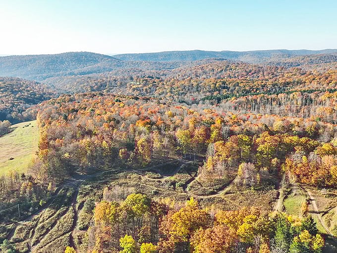 Autumn paints the Pennsylvania Wilds surrounding Emporium with a palette that makes New England leaf-peepers wonder if they've been visiting the wrong region.