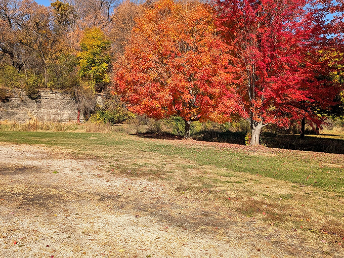 Fall foliage in northwestern Illinois doesn't just change color—it erupts in a symphony of reds and golds against limestone backdrops.