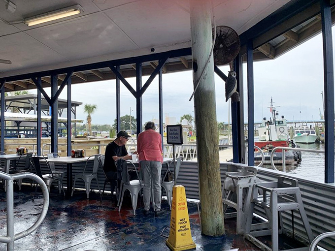 Waterfront dining without waterfront prices. The boats in view aren't just decoration – they're tomorrow's catch arriving in real time.