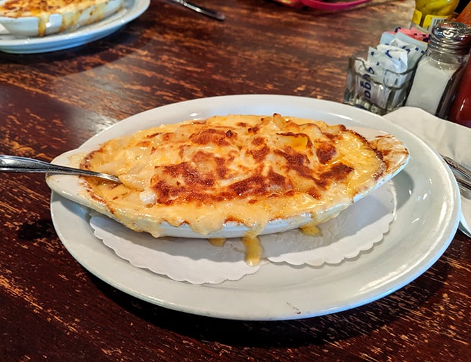 Mac and cheese elevated to an art form—golden, bubbling, and making a strong case for being classified as a legitimate love language.