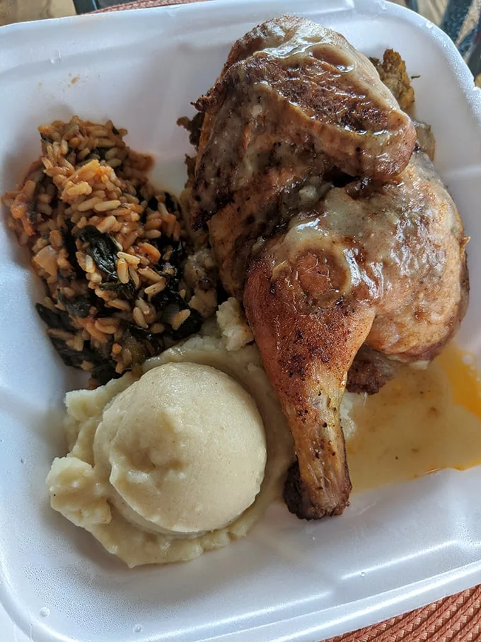 This isn't just chicken—it's a testament to simple food done right. The mashed potatoes stand at attention, ready for their gravy bath.