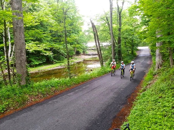 The canal towpath offers cyclists a ribbon of asphalt through nature's cathedral—exercise and meditation in equal measure.