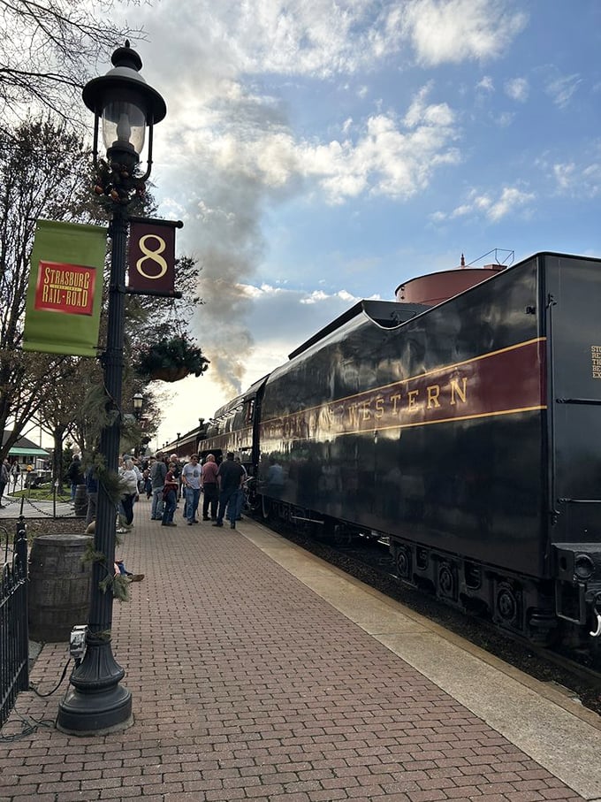 Platform 8 buzzes with anticipation as passengers prepare to board. That steam whistle isn't just a sound—it's a starting gun for adventure.