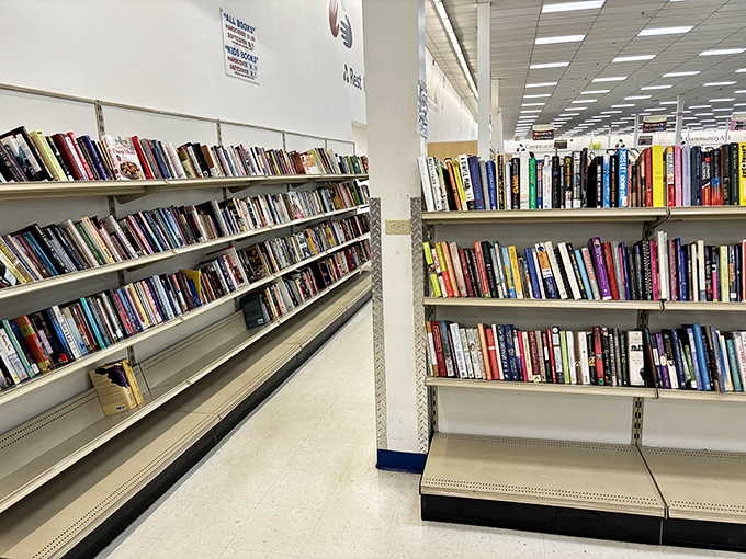 The book section rivals small libraries, offering literary adventures for pocket change. Knowledge and entertainment, democratically priced for all.
