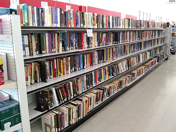 Books stacked like the world's most affordable time machines. Travel anywhere, learn anything—all for pocket change.