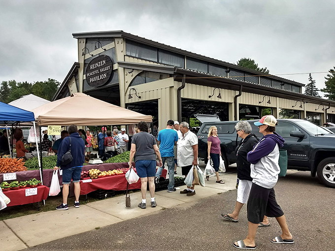 Farmers market day brings the community together – where vegetables have dirt credentials and conversations matter as much as commerce.