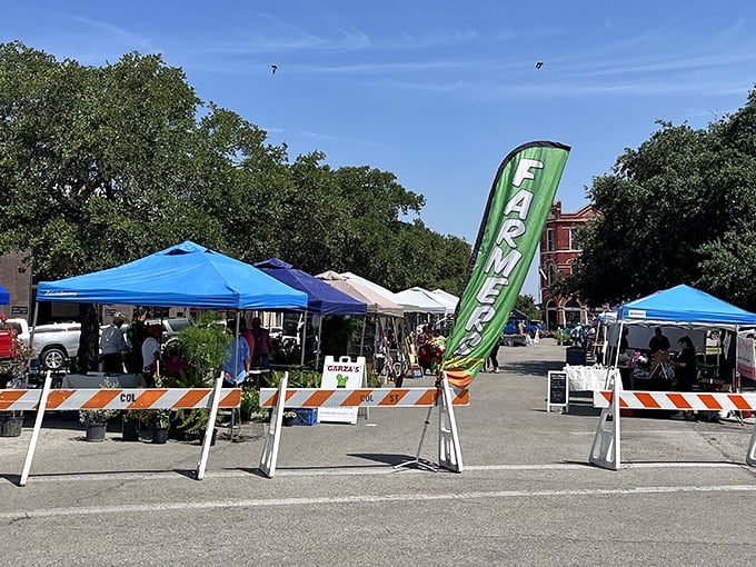 Lockhart's Farmers Market transforms downtown into a community gathering spot where the bounty of Central Texas is on full display.