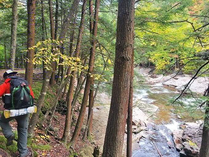 The best views are earned through effort. This hiker pauses to appreciate Loyalsock Creek's handiwork—a canyon carved with patience over millennia.