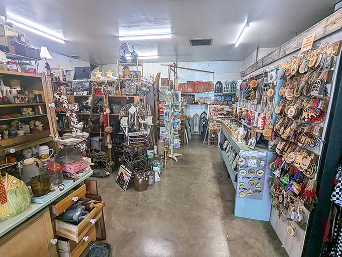 Organized chaos at its finest – shelves packed with potential heirlooms waiting for someone to give them a second life.