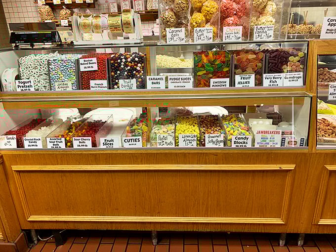 A rainbow array of jawbreakers and classic candies – each bin a different chapter in the encyclopedia of American candy history.