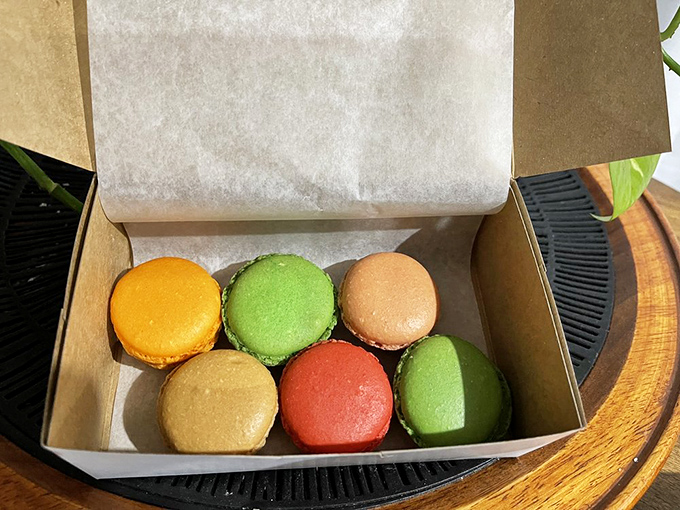 Macarons lined up like colorful soldiers ready for duty. These aren't cookies – they're tiny French ambassadors of joy.