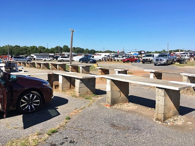 The improvised parking system speaks to the Jockey Lot's practical ingenuity—these concrete barriers have probably guided weekend shoppers for decades without a single complaint.