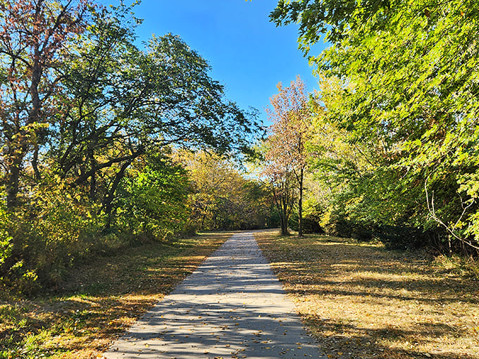 Autumn paints Plum Creek Park in golden hues, creating a walking path that makes you forget about step counts and remember why you love the outdoors.