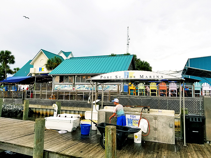 The marina's fish cleaning station tells the real story of Port St. Joe – a working waterfront where the day's catch becomes tonight's dinner.