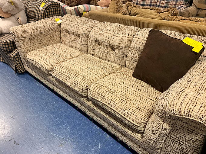 A perfectly good sofa with just enough character to suggest interesting stories. Like dating someone with a mysterious past but excellent structural integrity.
