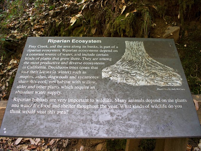 Educational signage that reminds us we're just visitors in a complex ecosystem—nature's version of "please respect the house rules."