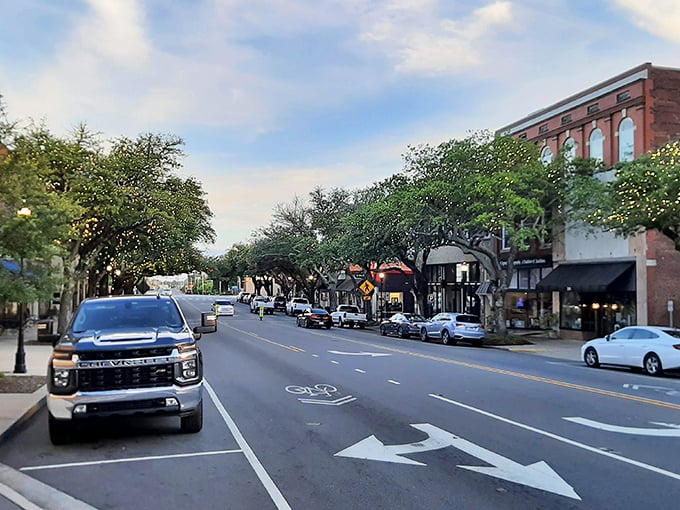 Downtown streets lined with mature trees create natural canopies over historic storefronts, making window shopping a year-round pleasure regardless of weather.